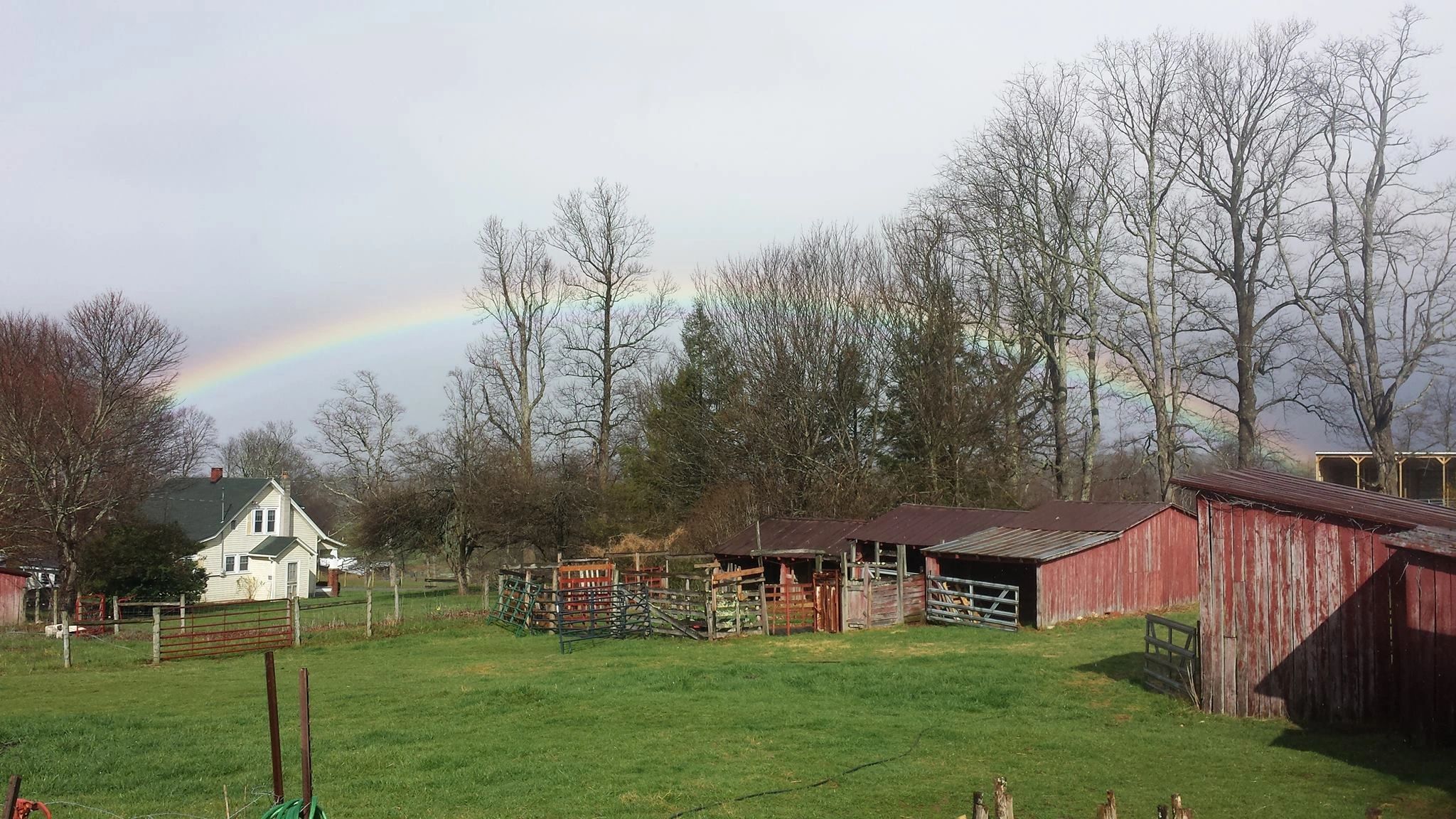 Chestnut Ridge Farm - Farm, Animals, Vacation Rental