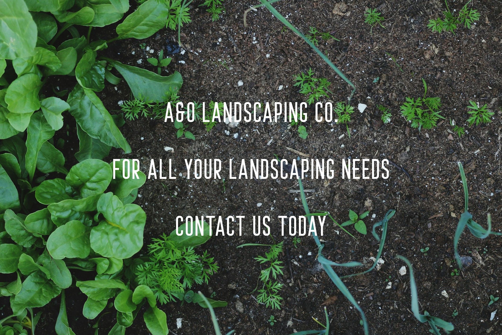 A&O Landscaping Co