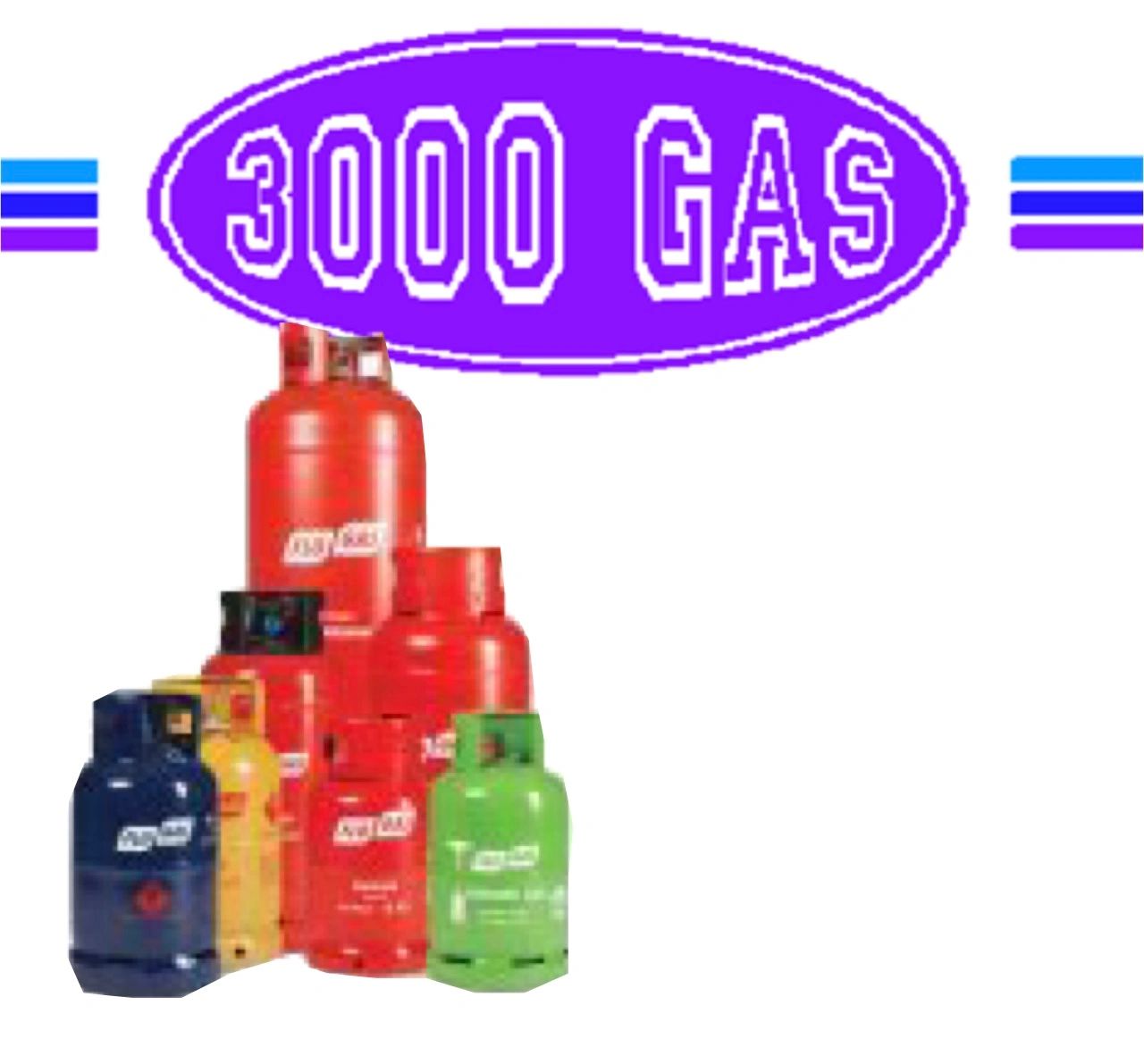 3000gas