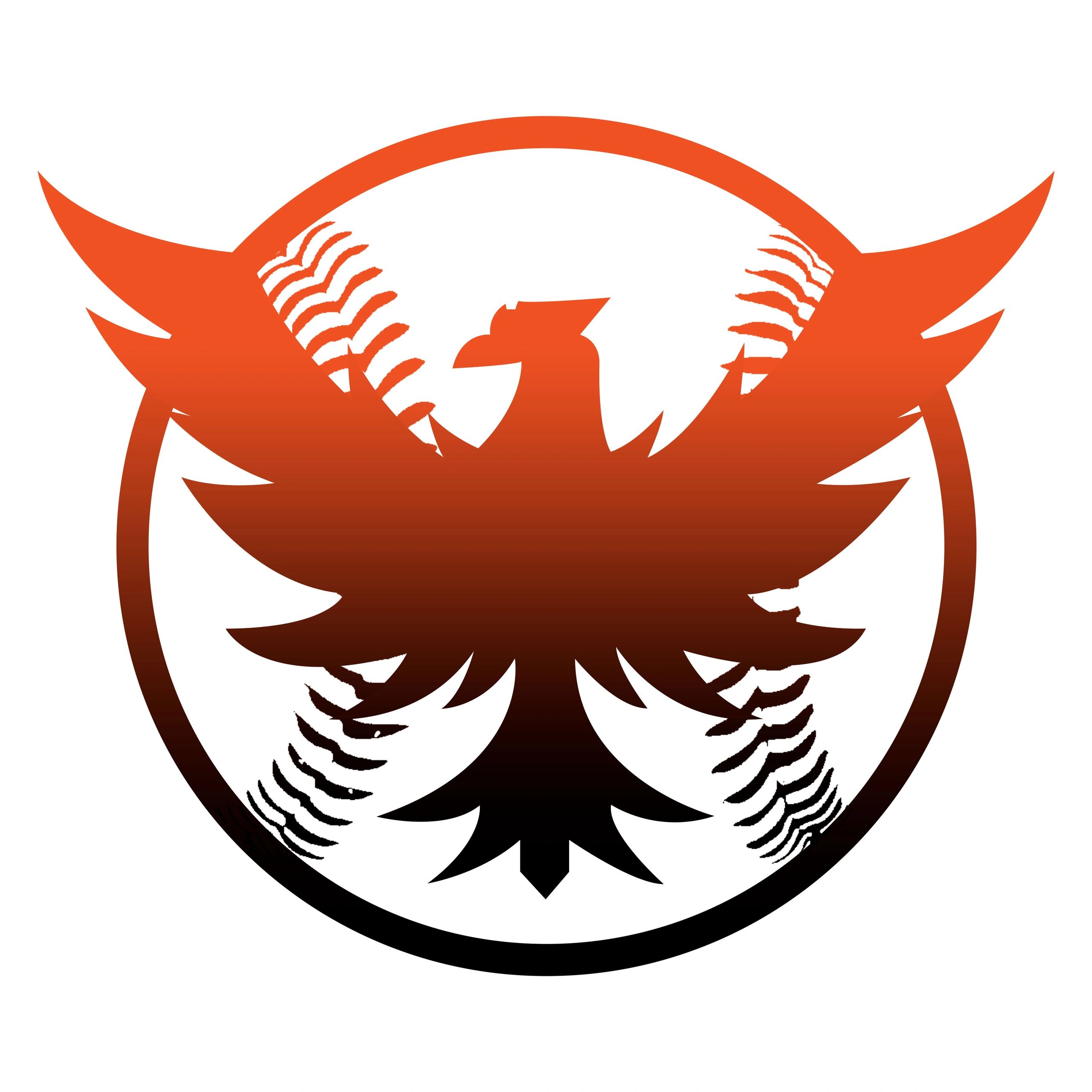 Phoenix Fire Fastpitch