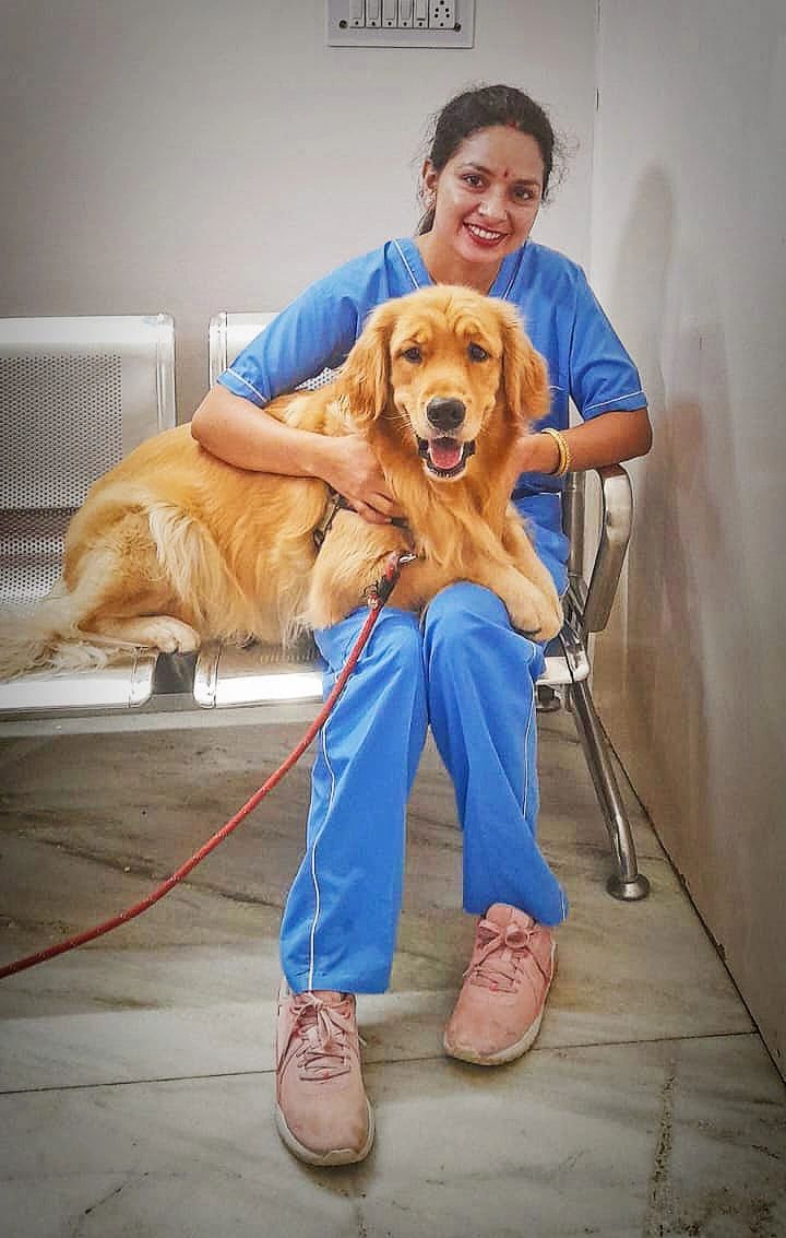 Find Vets Near Me Open | Emergency Veterinary Services