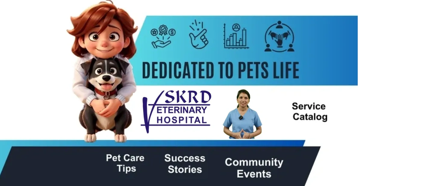 Find Vets Near Me Open | Emergency Veterinary Services