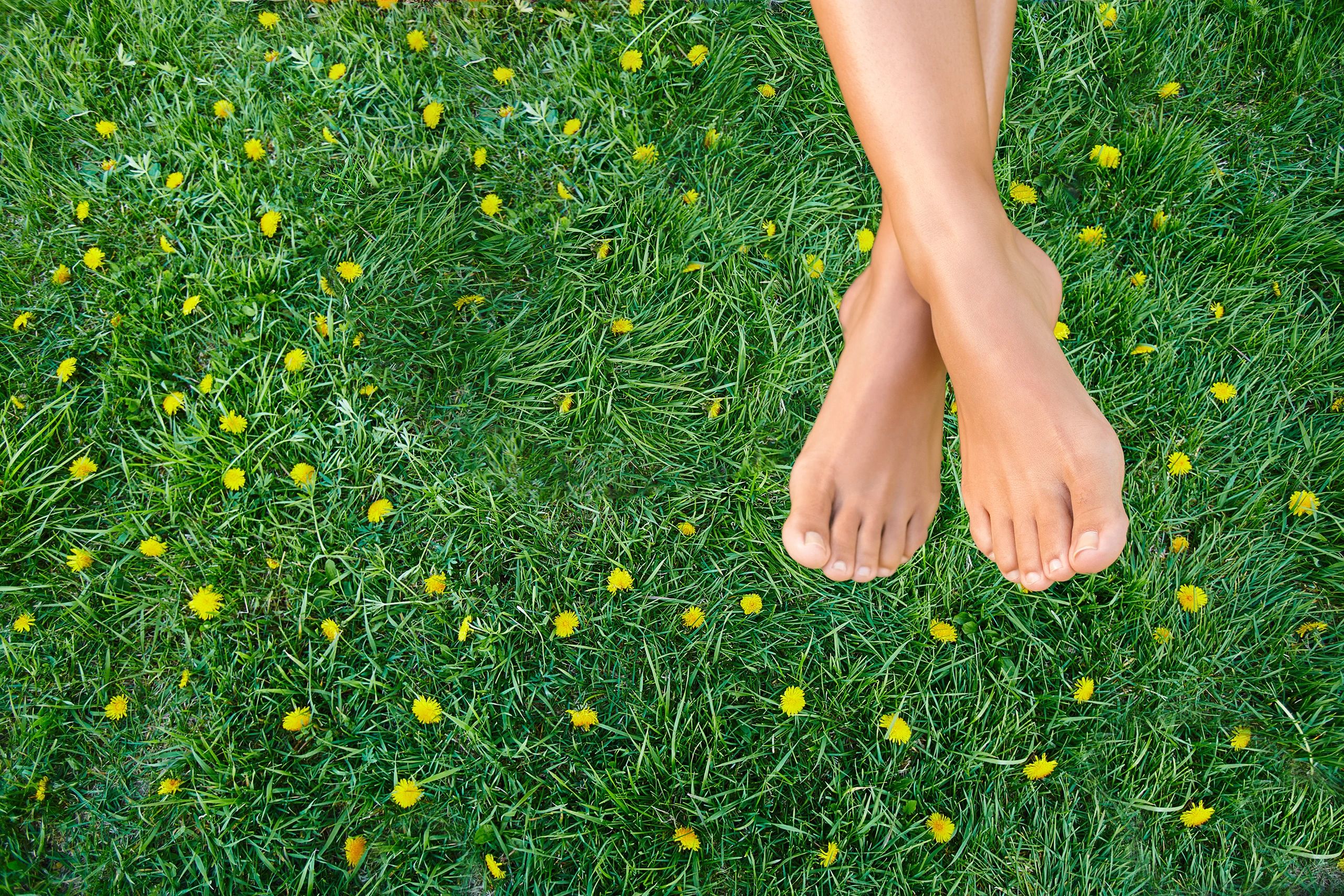 Sole Renew - Foot Zone Therapy, Quantum Reiki, Emotion Clearing