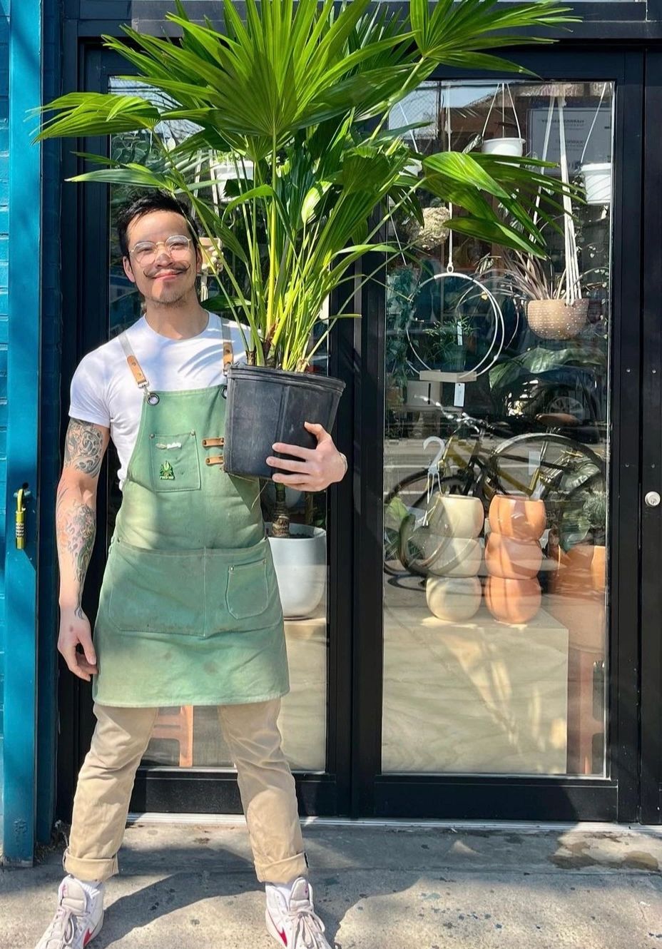 Expert Indoor Plant Doctoring | Plant Care Solutions