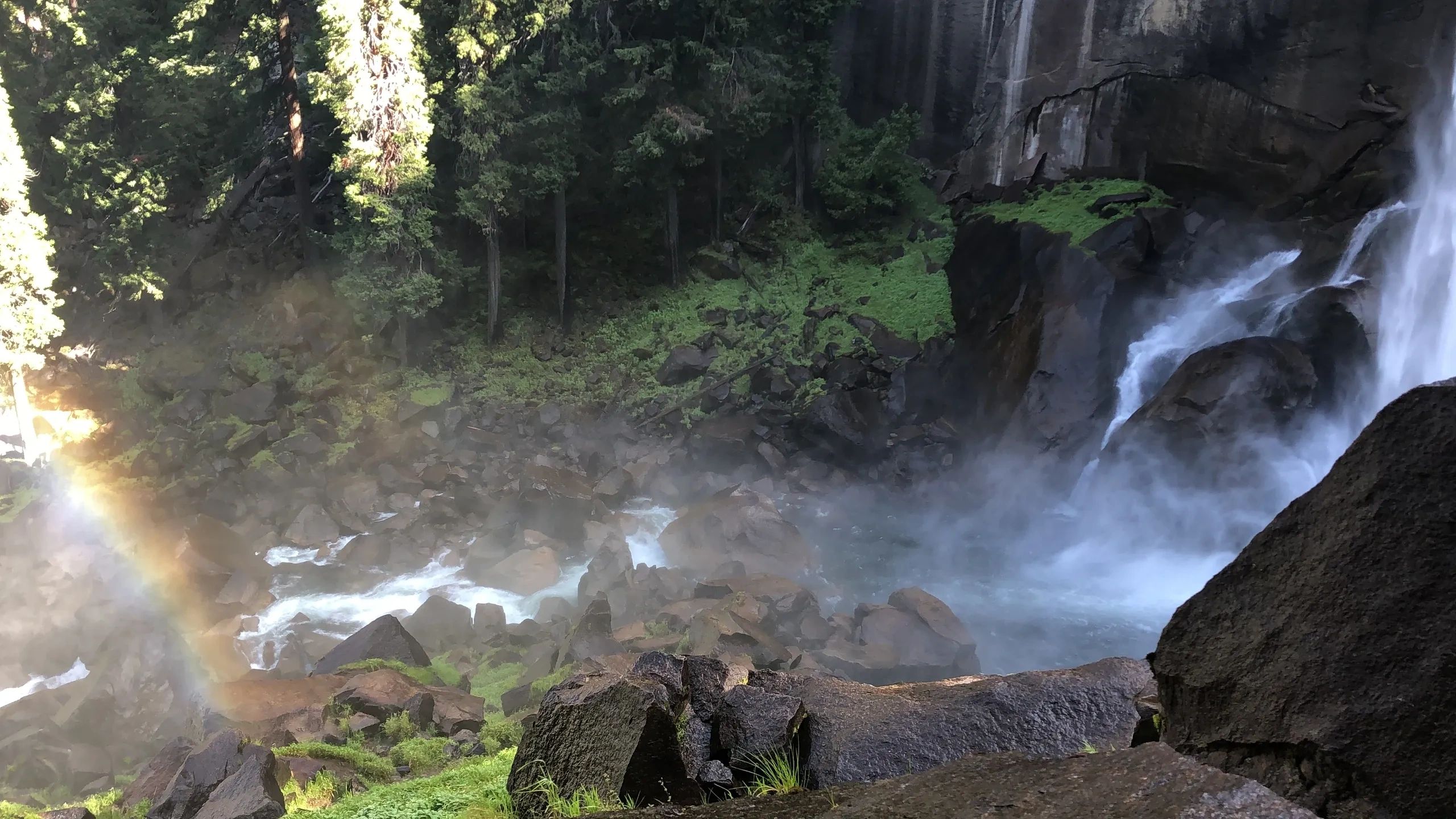 Christal - Project & Communications Manager