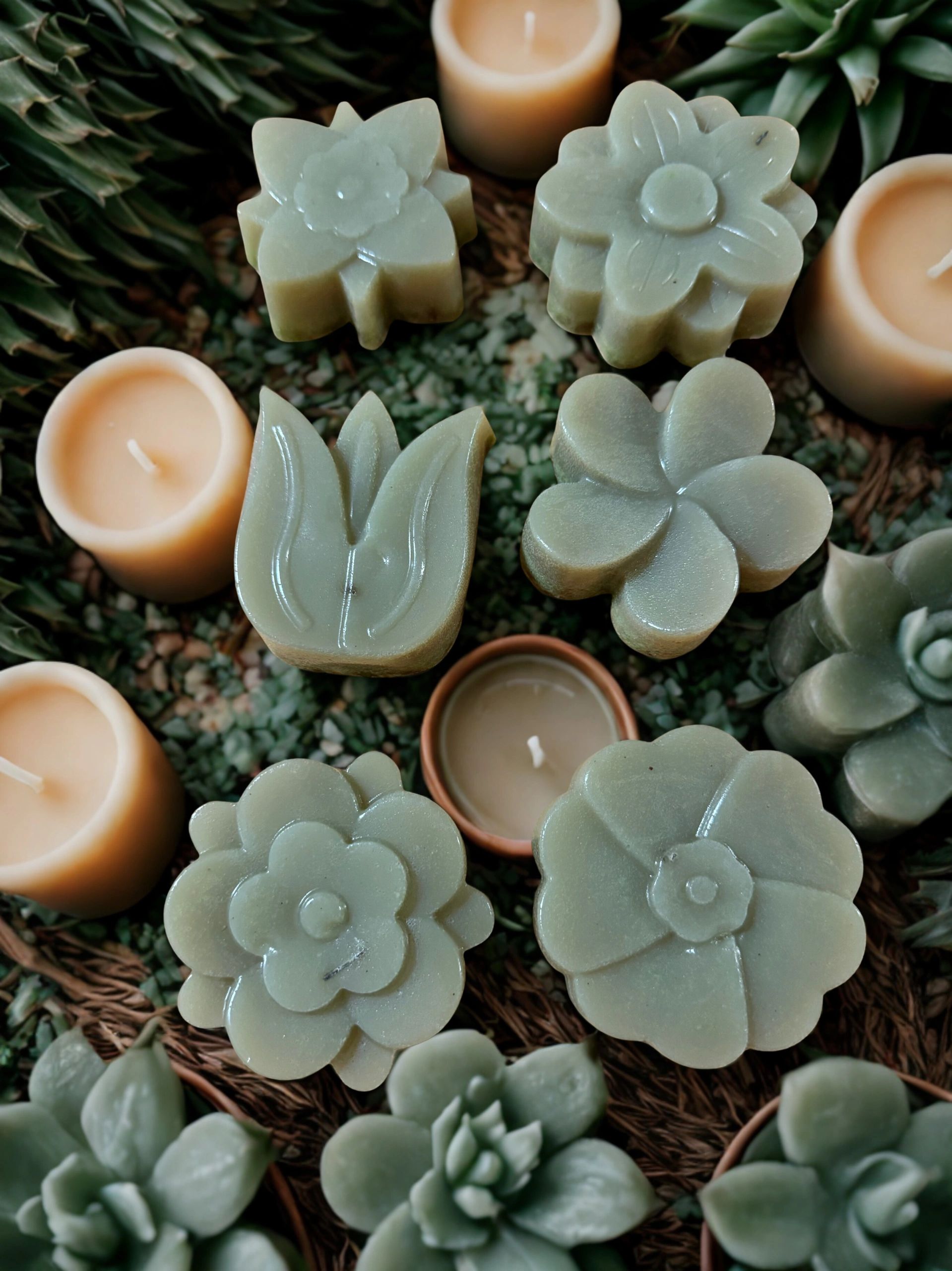 Bluebonnet Books & Homegrown Goods