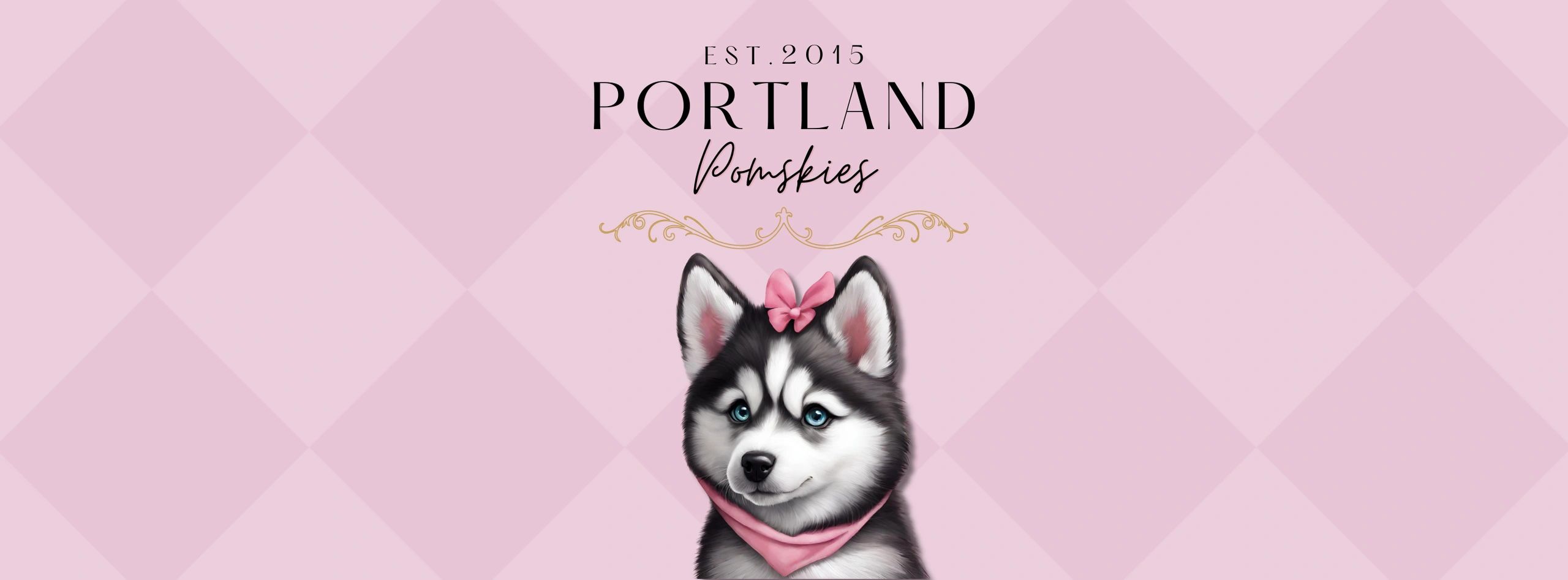 Portland Pomskies - Highest Quality Pomskies for Sale