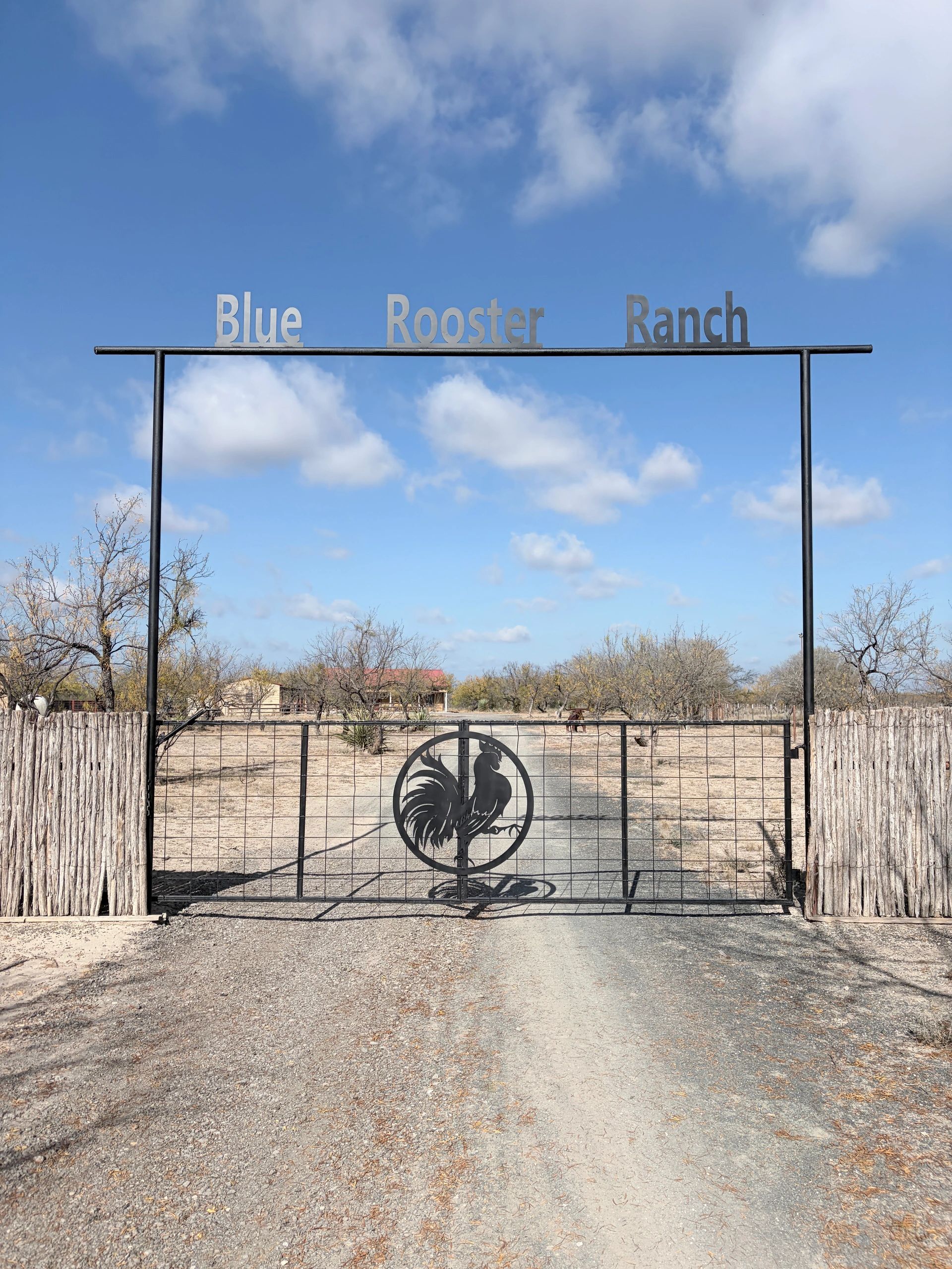 Join Our Premier Hunting Club in Texas