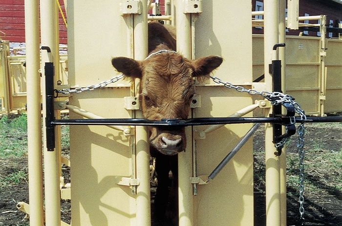 For-Most Nose Bar Assembly