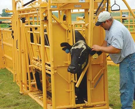 For-Most Model 30 Neck Bars