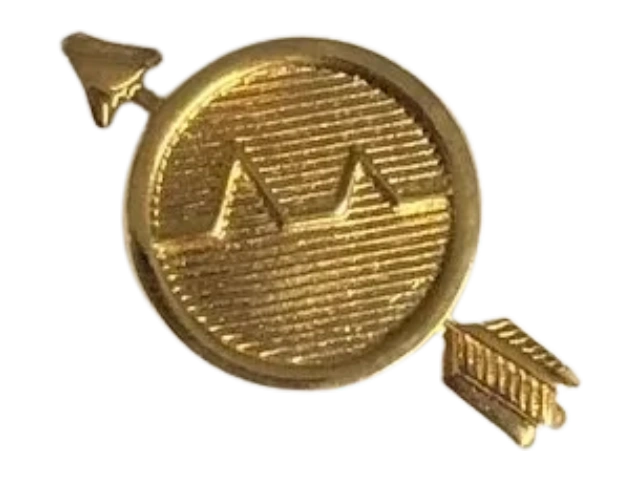 Pin US Coast Guard Operations Systems Specialist