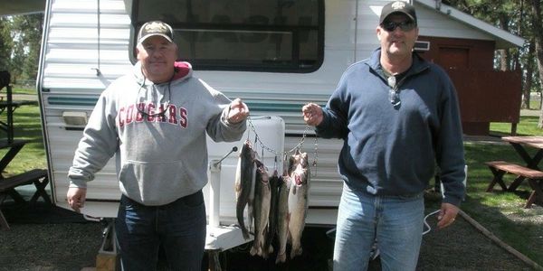 Peaceful Pines RV Park & Campground - RV Park, Campground