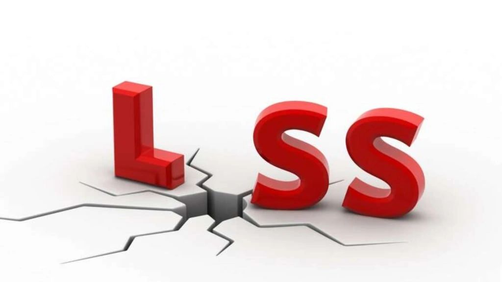 Allowable Business Investment Losses