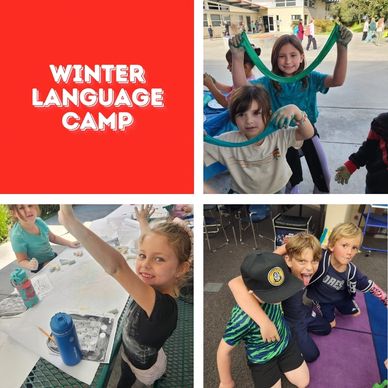 Bilingual Kids - Summer Camp, Spanish and Mandarin