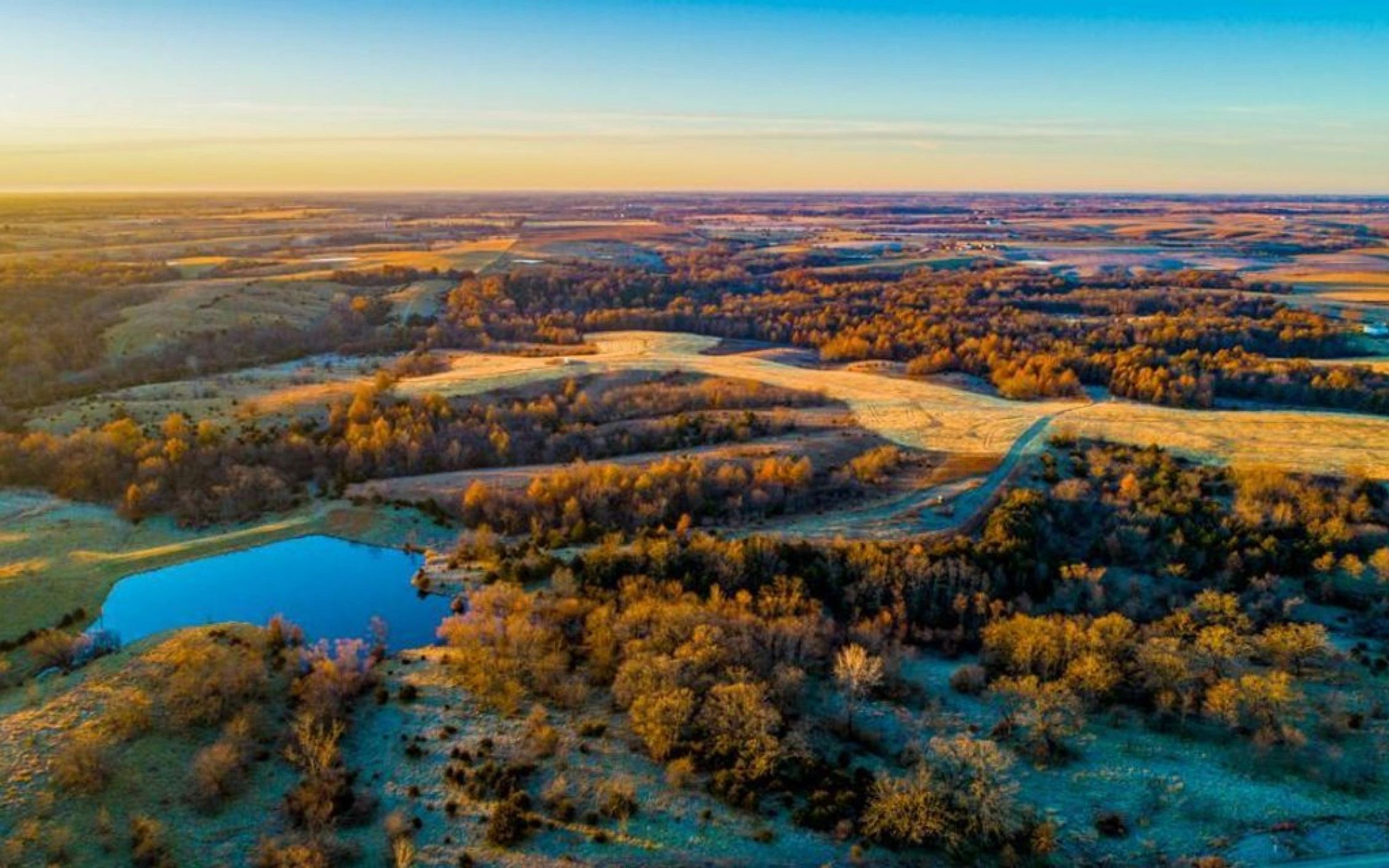 Driving Economic Growth and Development in Wayne County