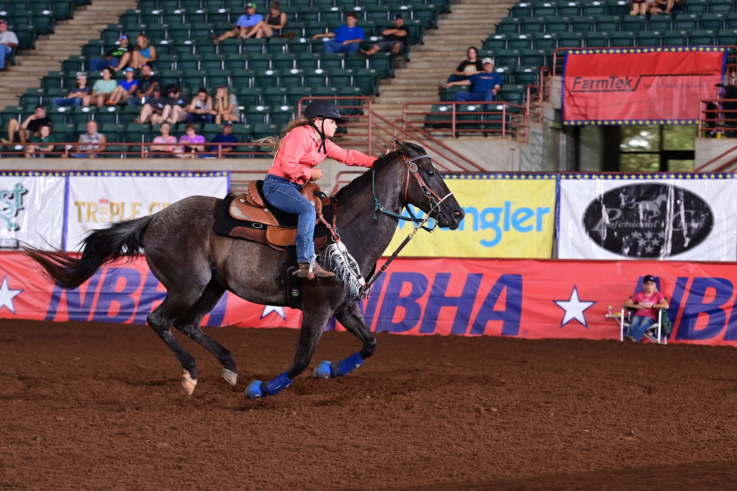 AGH Performance Horses