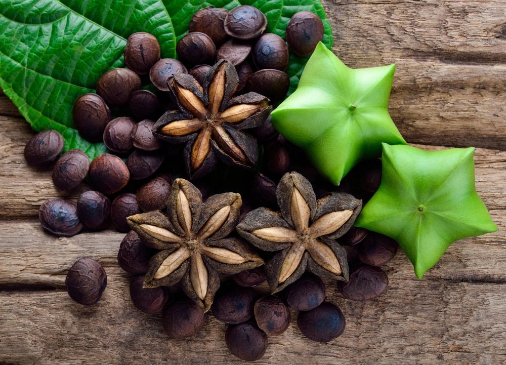 10 Amazing Health Benefits of Sacha Inchi