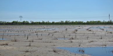 Marsh Creation | Natural Resource Professionals