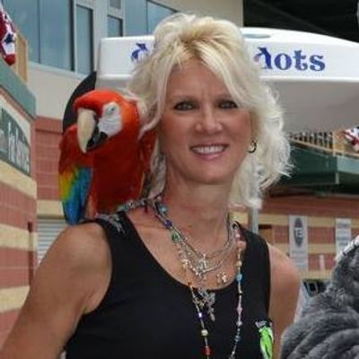 Parrot Hope | Parrot Hope Rescue