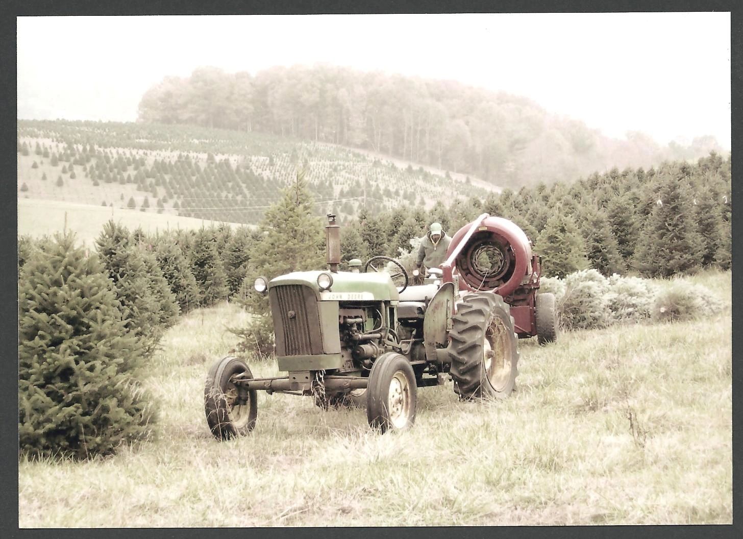 Spruce Ridge Tree Farm