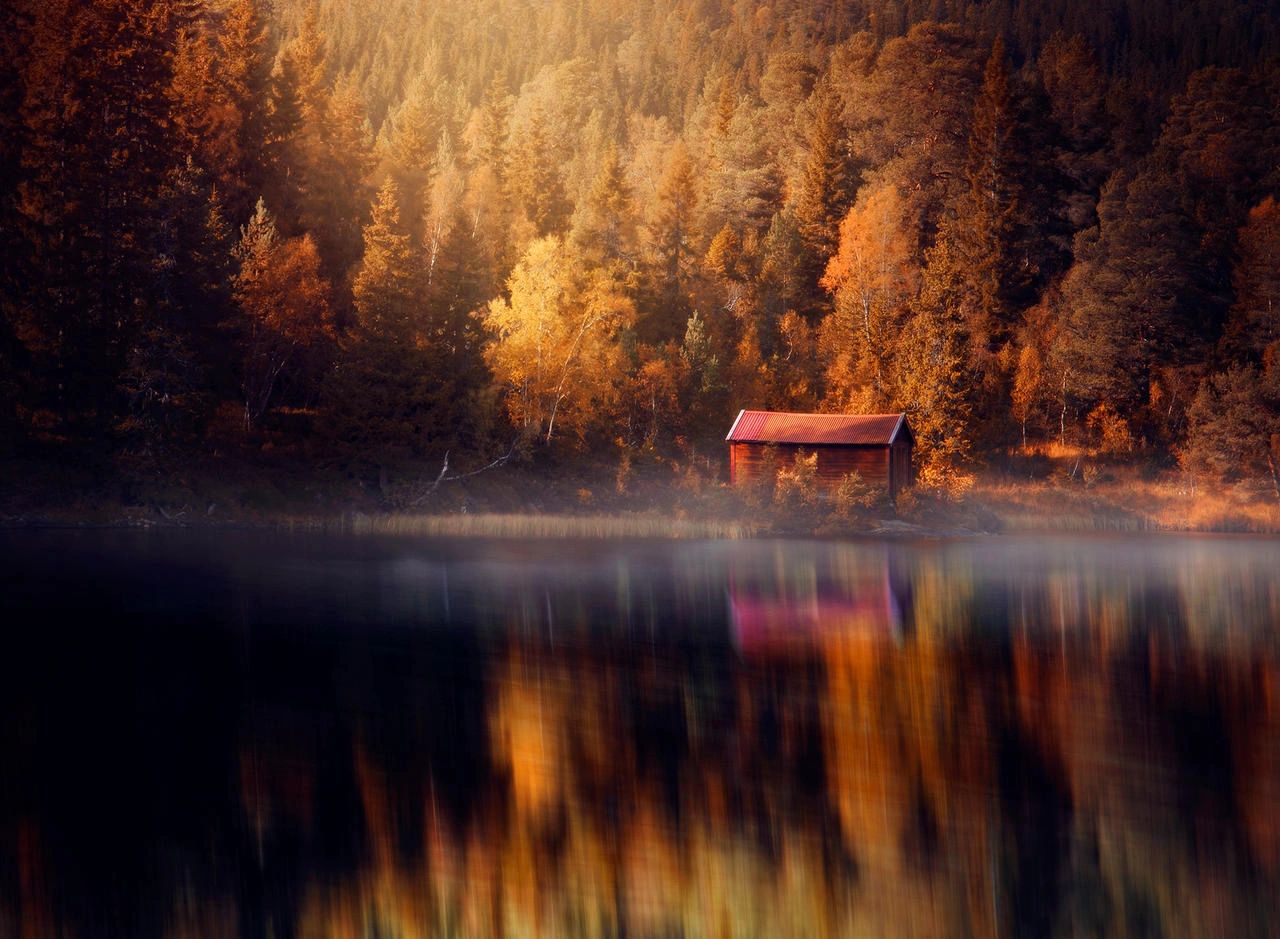 A Place Called Peace