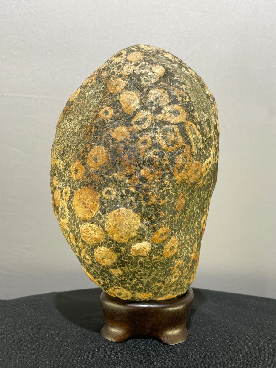 California Flower Stone