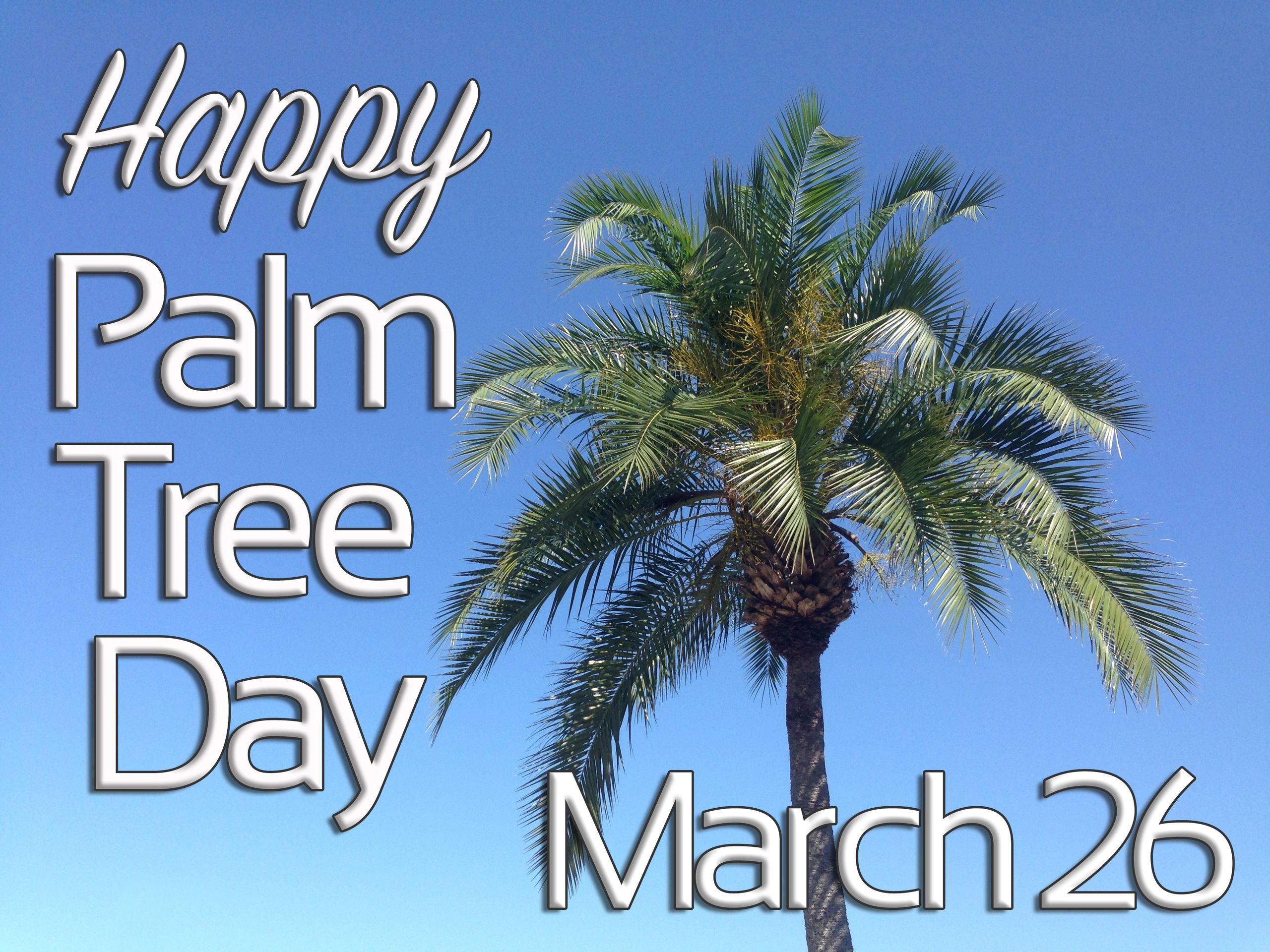 Happy Palm Tree Day