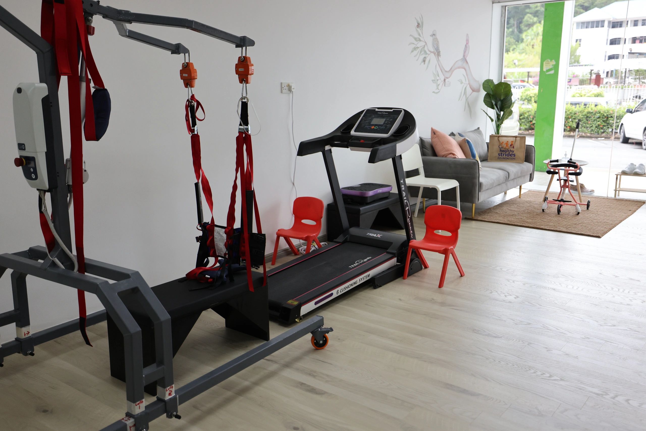 Healthy Strides Malaysia