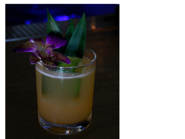 Bar - Chartreuse Craft Cocktail Bar Bonita Springs