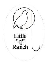 Little " q" Ranch - Quail Hunting, German Shorthaired Pointers