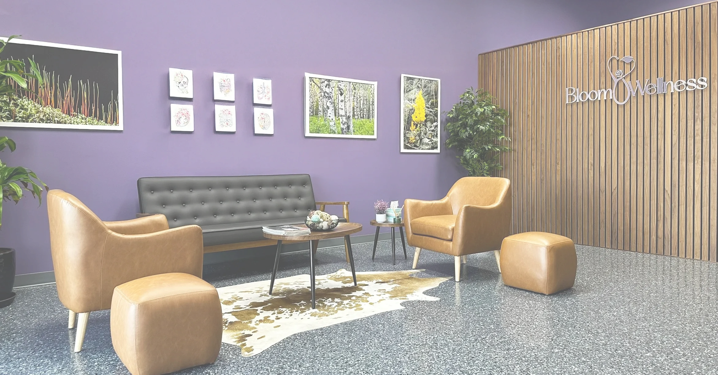 Home | Family Practice with Bloom Wellness DPC