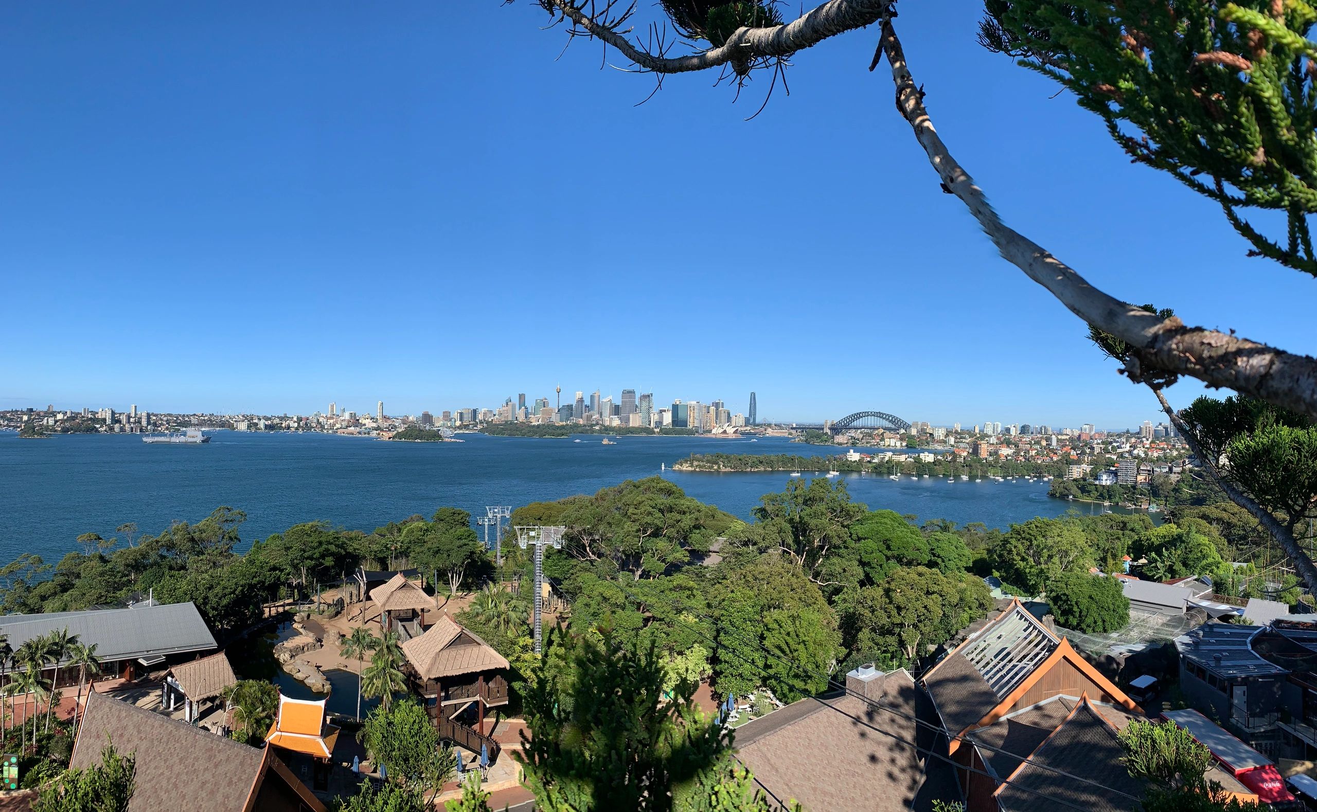 Tree Risk Assessments