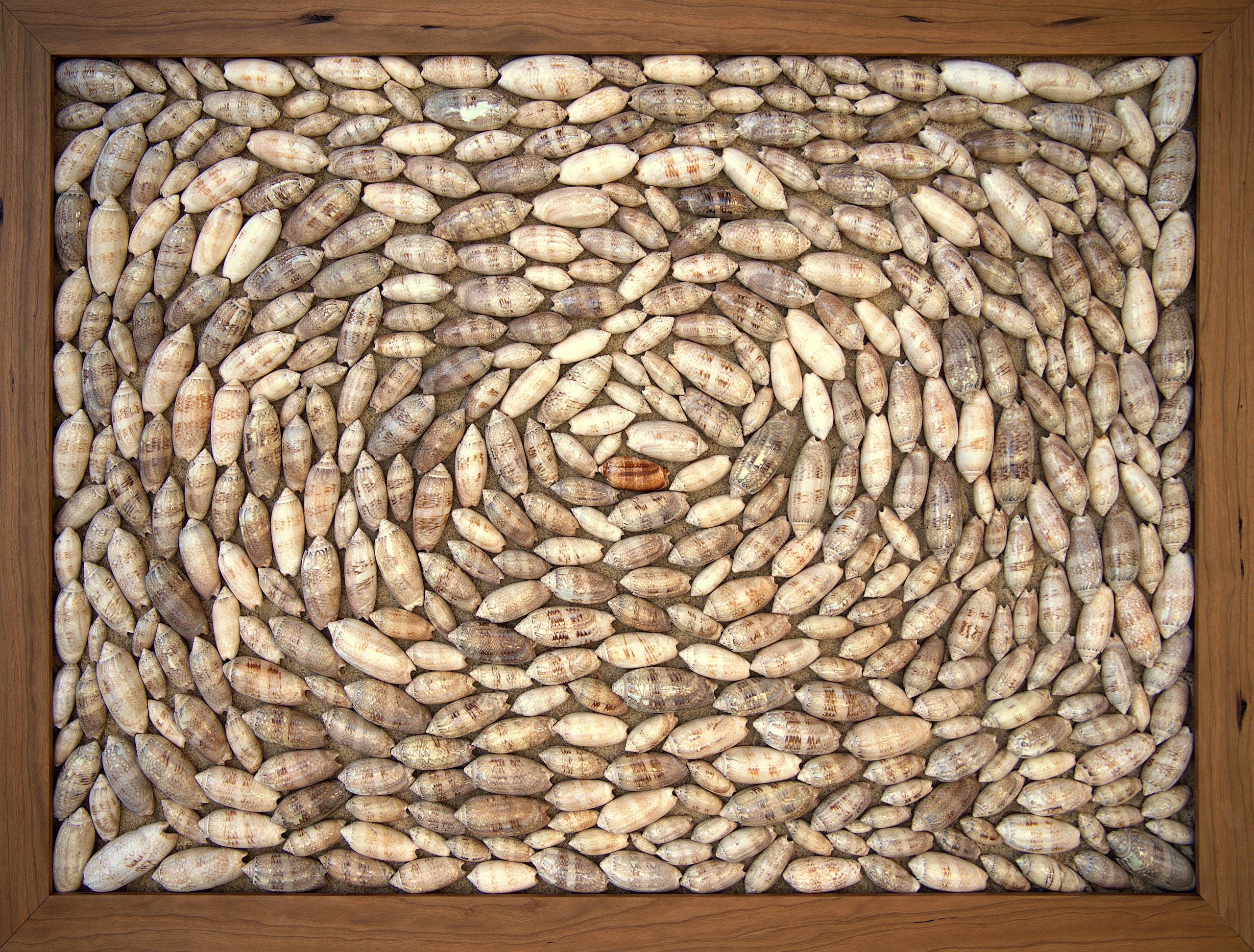 Sanibel Shell Puzzles