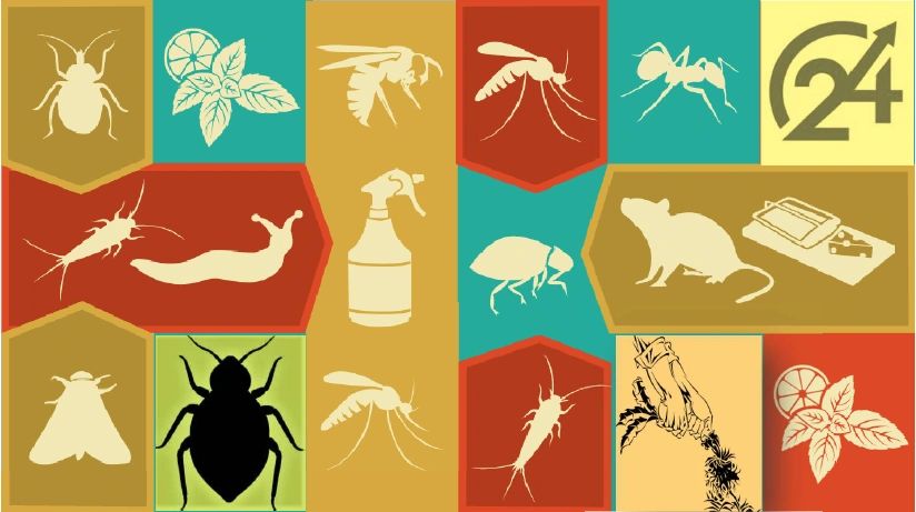 Pest Maxx Environmental Service