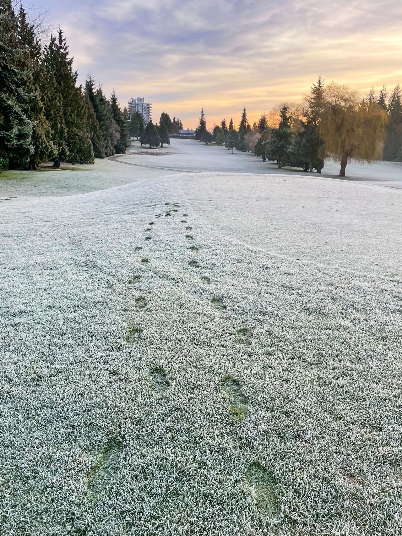 Winter Golf Tips & Tricks