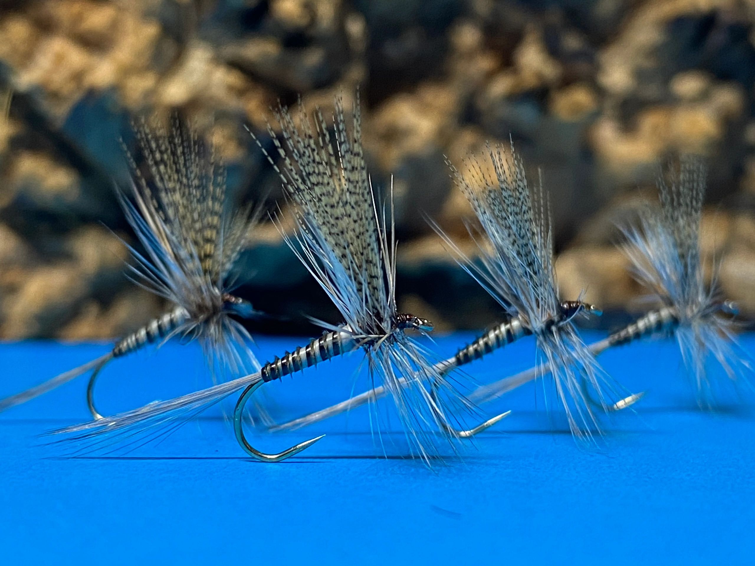 Educational Magpie Materials