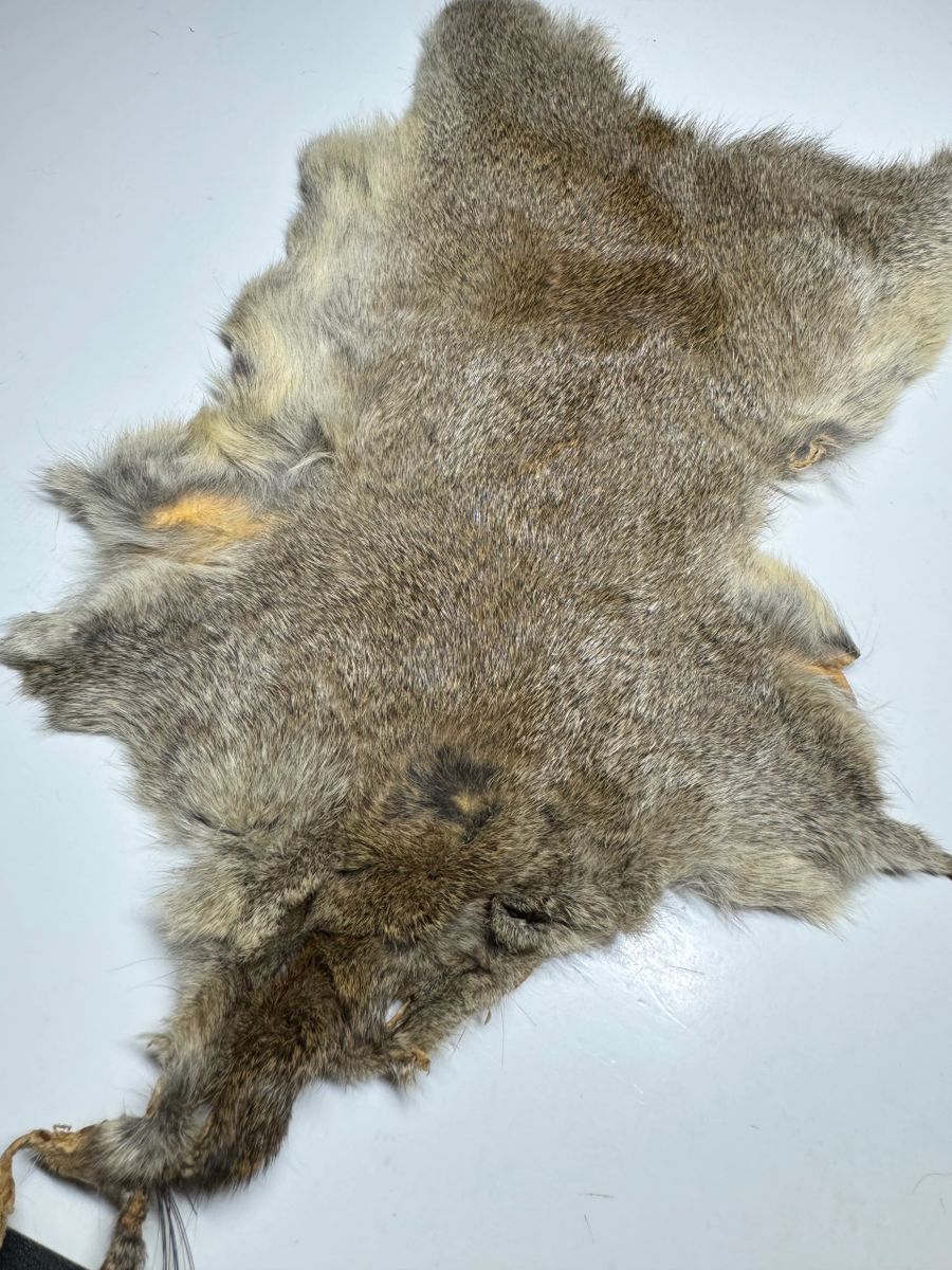 Magpie Materials Pine Squirrel Skin