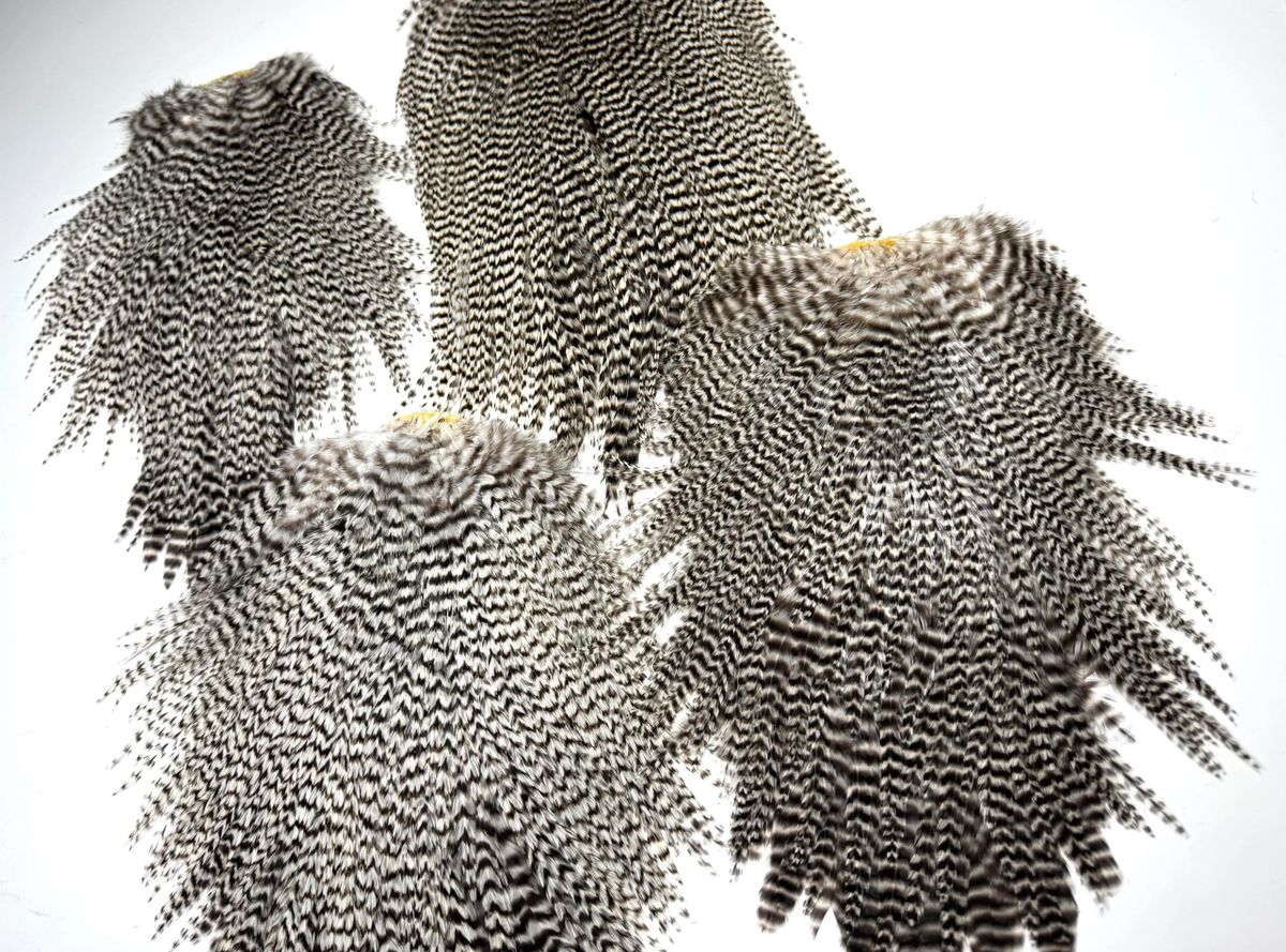 Magpie Materials Bugger Saddle