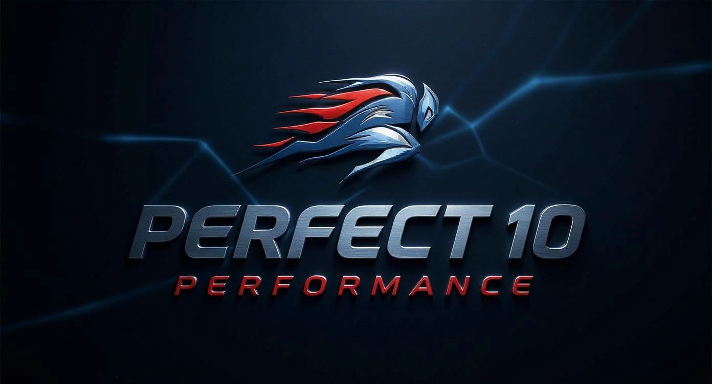 Perfect 10 Performance