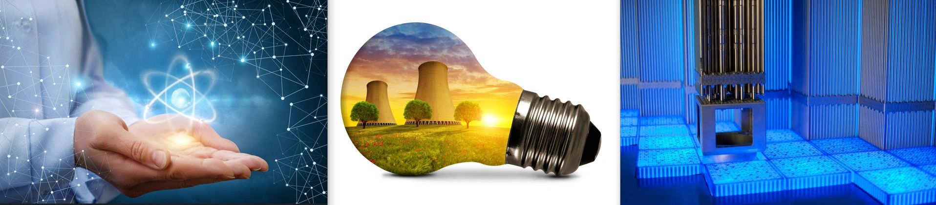 Sanders Nuclear Advisory - Nuclear Engineering and Nuclear Law ...