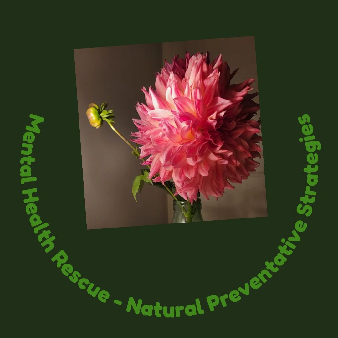Mental Health Rescue: Natural Preventative Strategies