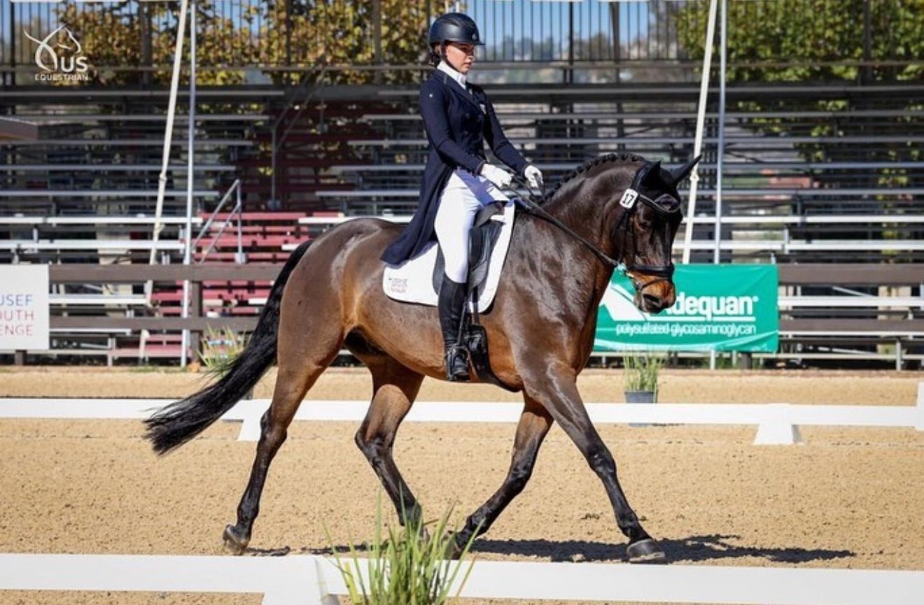 HT Equestrian