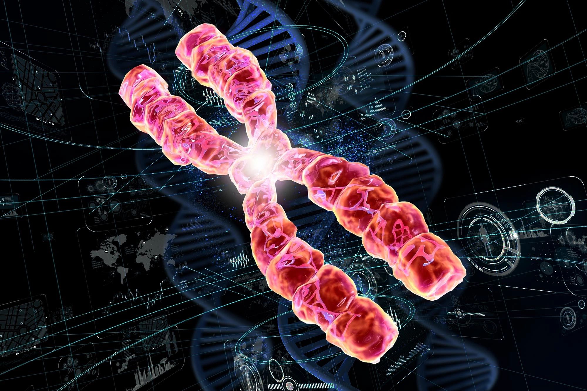 The First Commandment of Natural Order: Preserve Your DNA