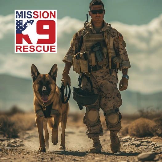 National K9 Veterans Day