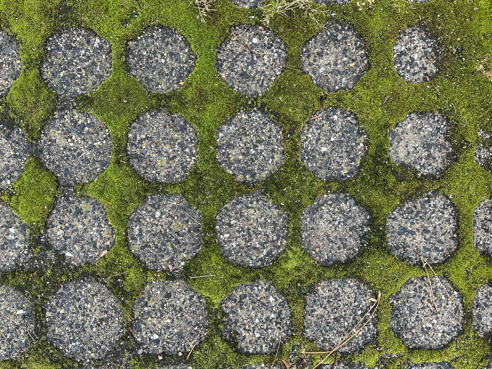 Exclusive Pieces of Art - Monismart