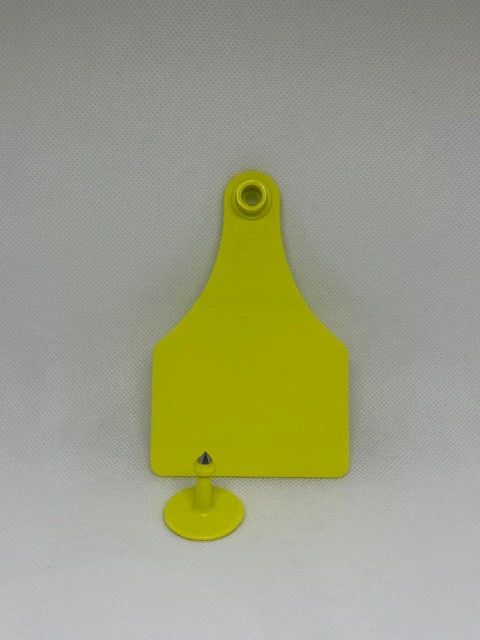 Blank Large Visual Tags - 25 packs