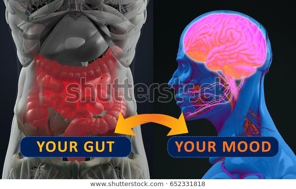 Herxheimer Reaction: A Complete Guide