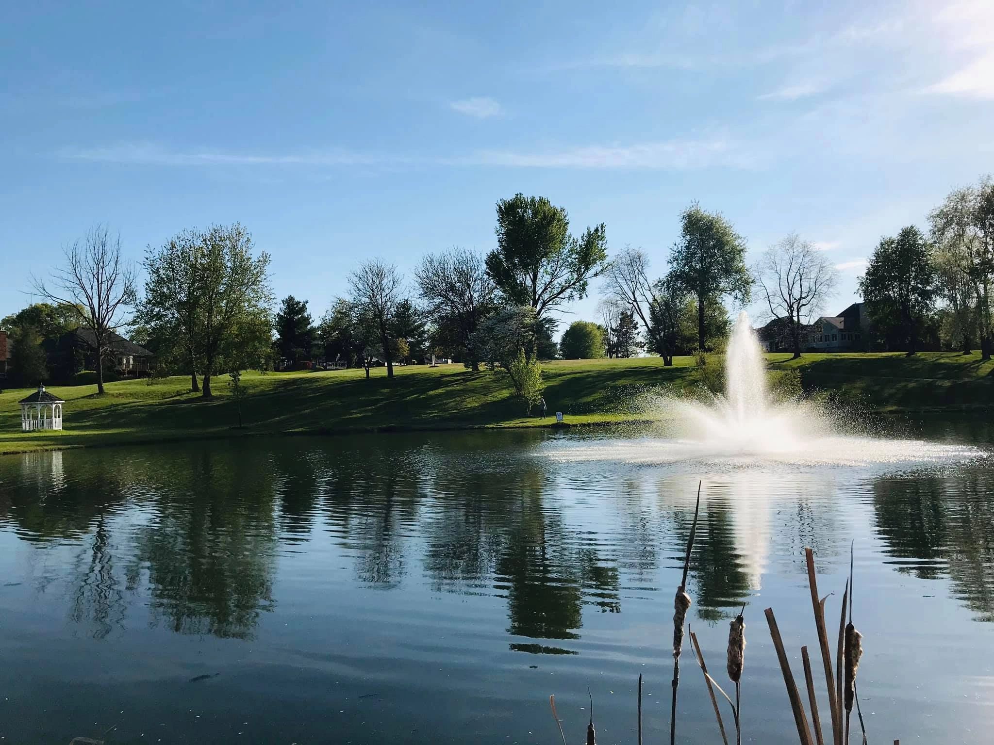 Indian Springs - Home