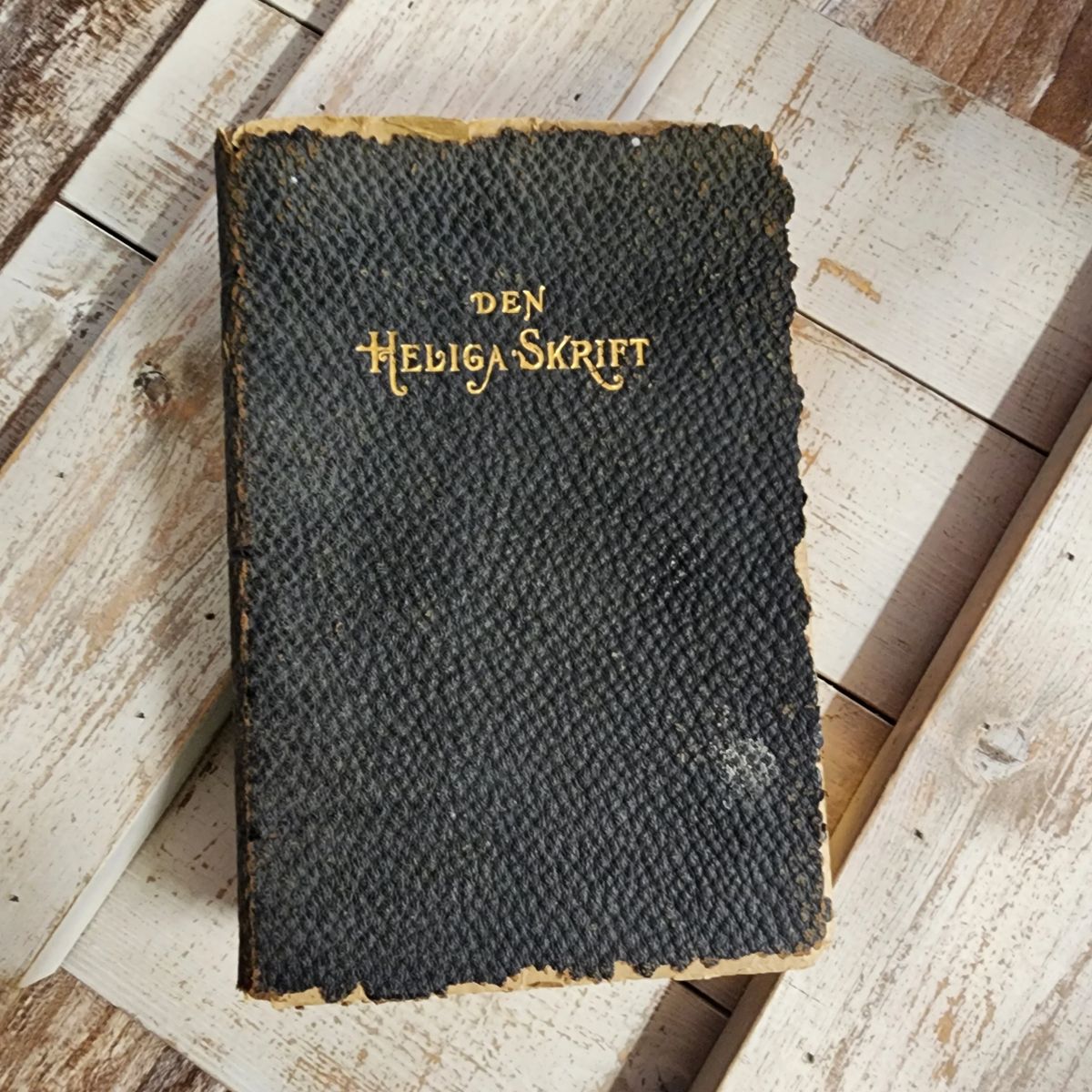 Den Heliga Skrift- Swedish Bible