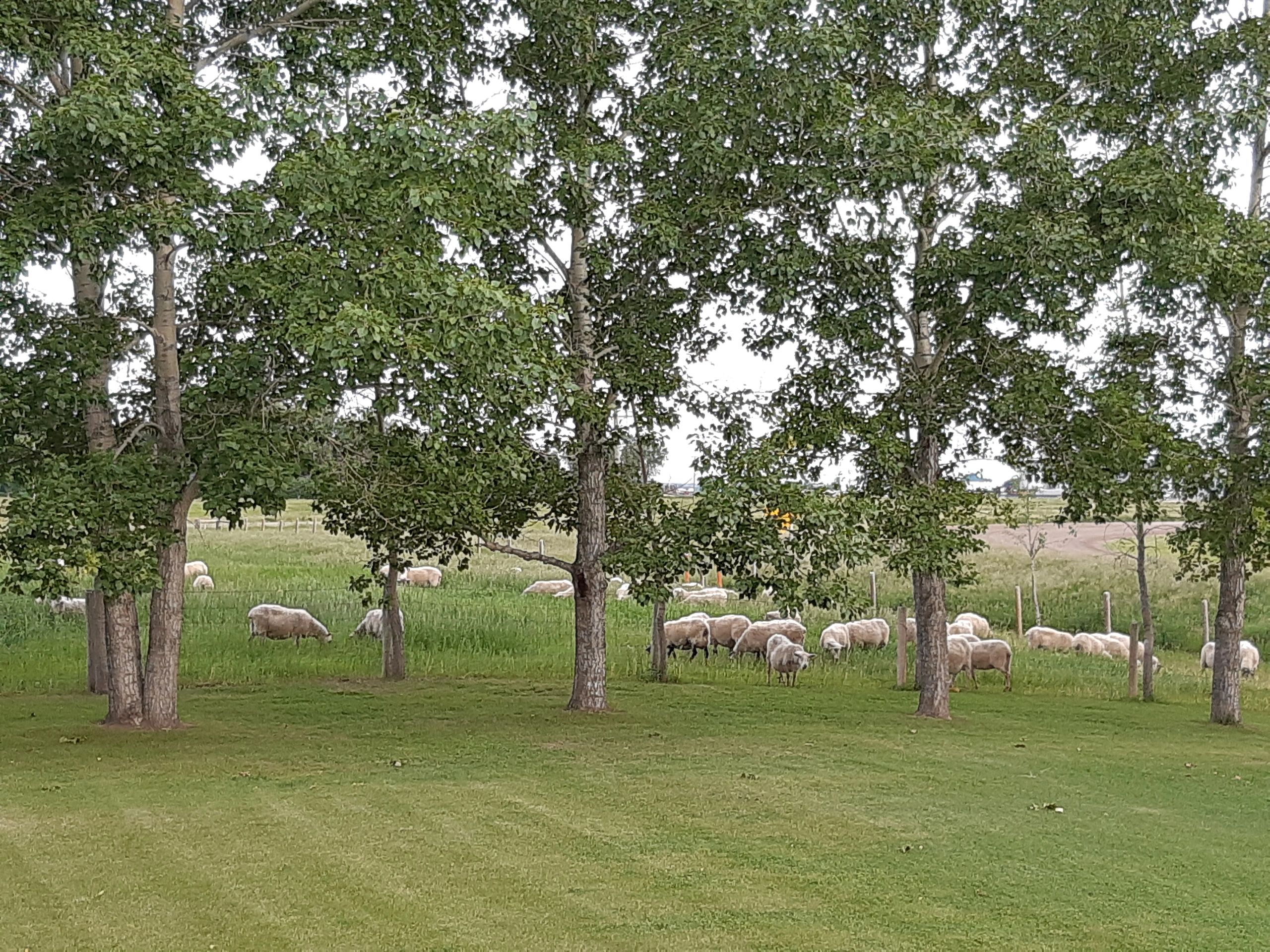 About Us | J & M Farms